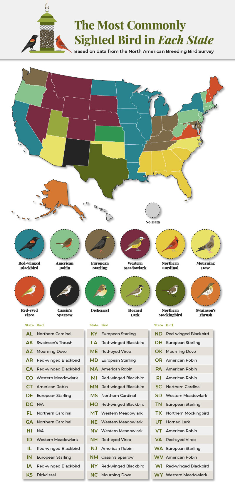 34 Most Common Birds in the United States Ranked by Sightings - Sigloxxi