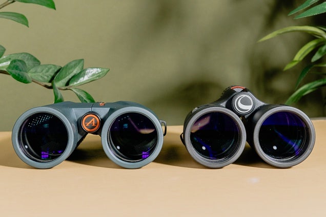 The Best Binoculars Under $100 for Backyard Bird Watching - Sigloxxi