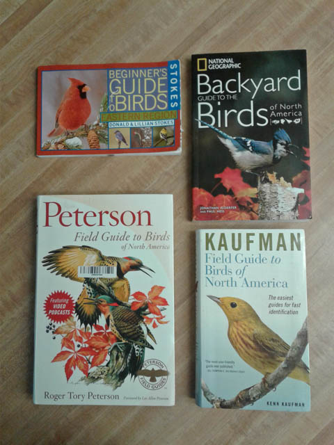 The Best Bird Watching Books for Beginners - Sigloxxi